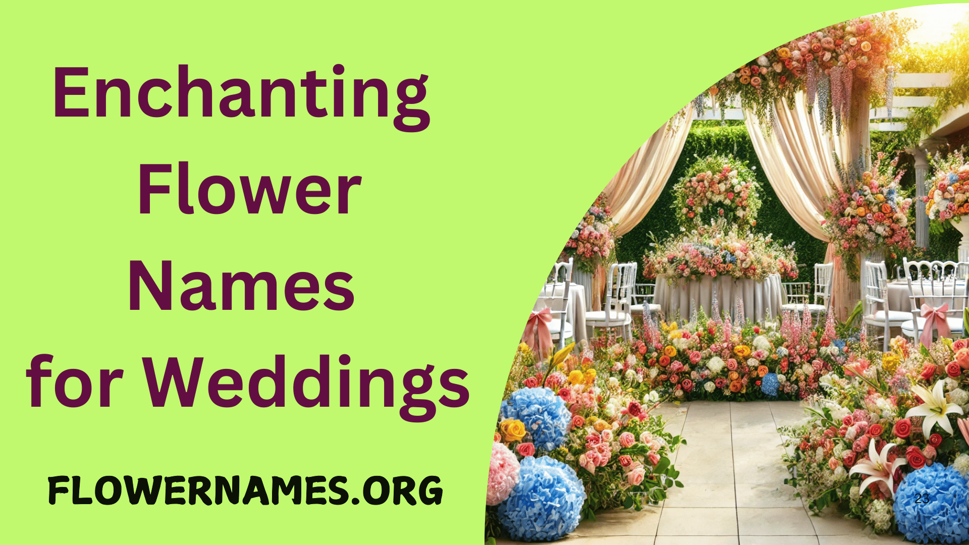 25 Enchanting Flower Names For Weddings Your Special Day
