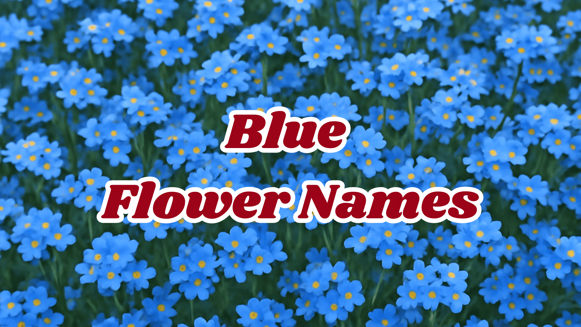 Explore 20 Beautiful Blue Flower Names